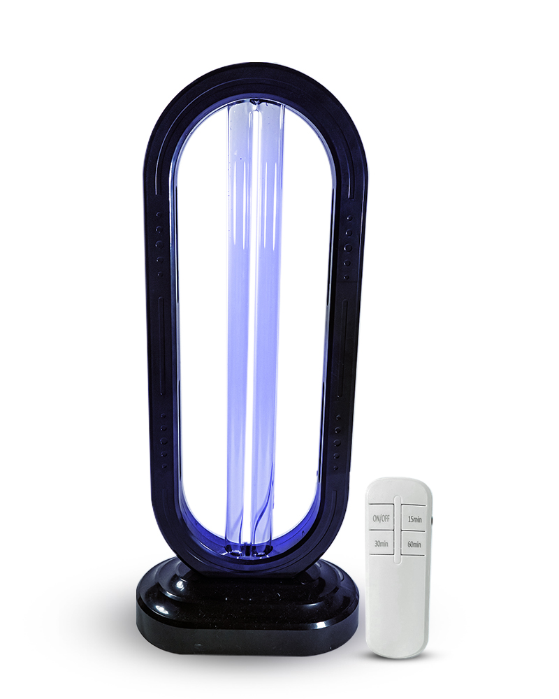 Top 8 Ways to Disinfect your Home in 2024