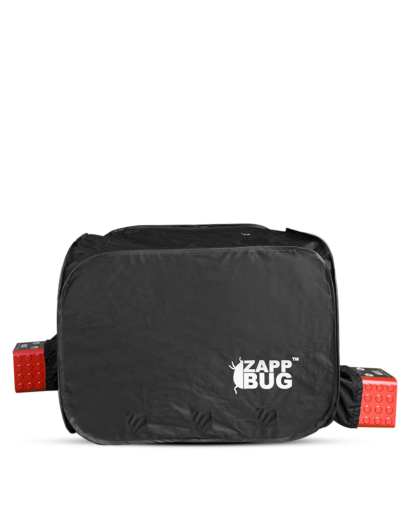 Crushing Bed Bugs: Our Secret Weapon Revealed to Winning the War ...