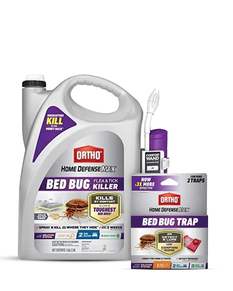 Crushing Bed Bugs: Our Secret Weapon Revealed to Winning the War ...
